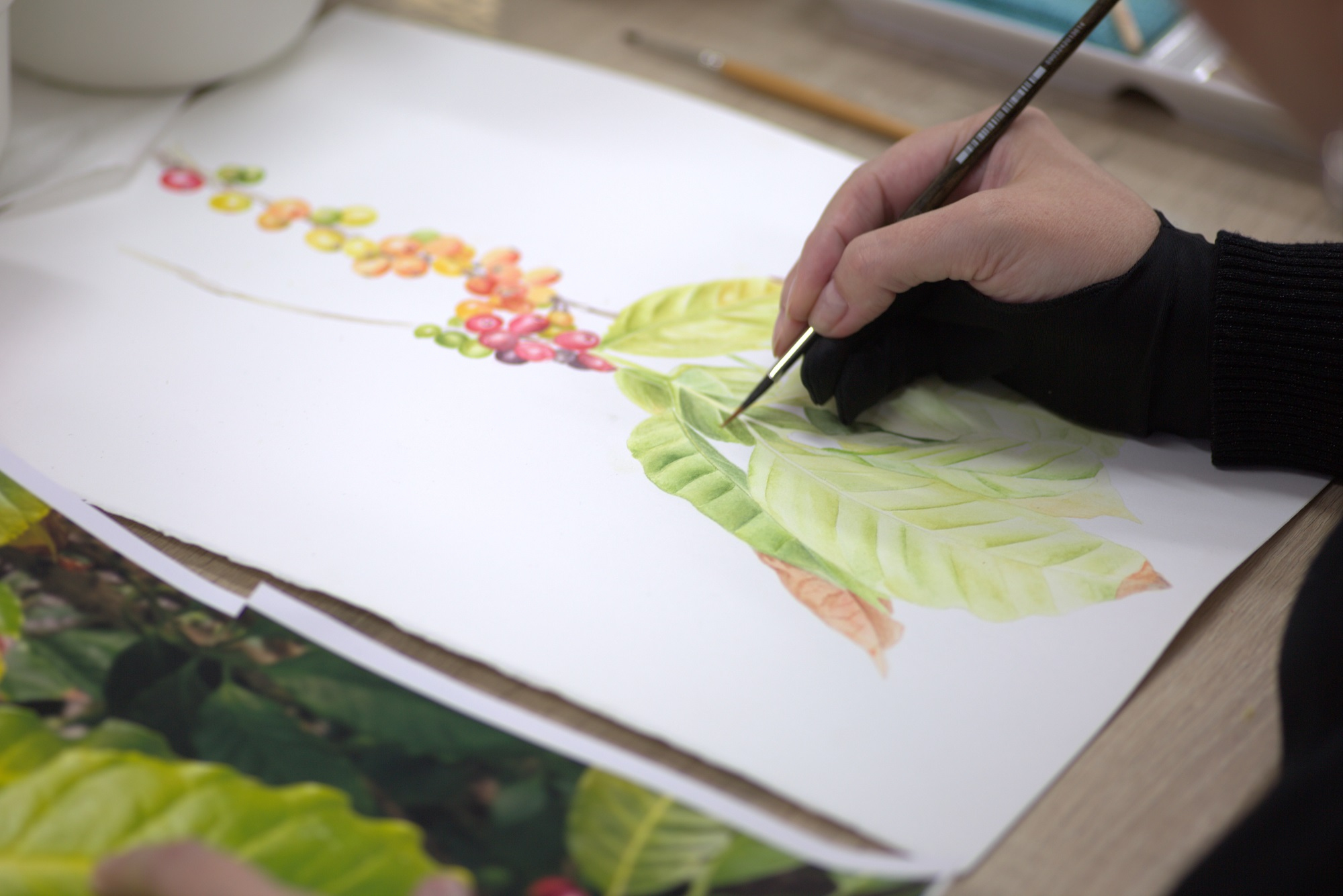 Botanical Art Worldwide 2025 | Botanical Illustration Exhibition - Museum of King Jan III's ...